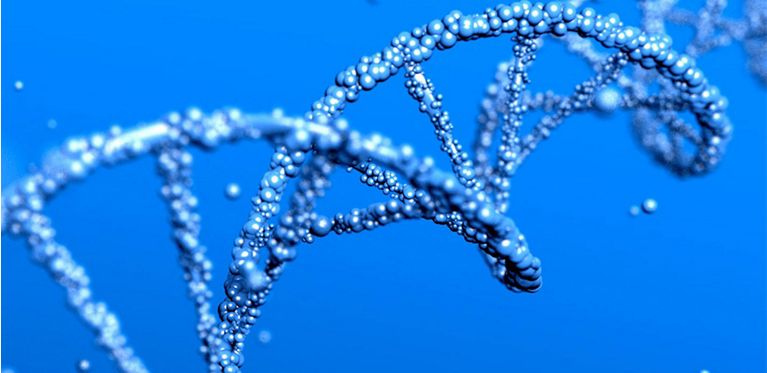 DNA Library Prep for DNA Nanoball Technology Sequencing Platforms