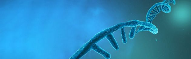 RNA Sequencing (RNA-seq)