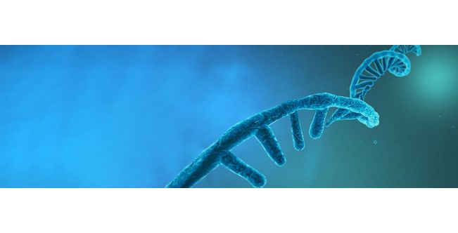 Roche Sequencing Solutions | United States