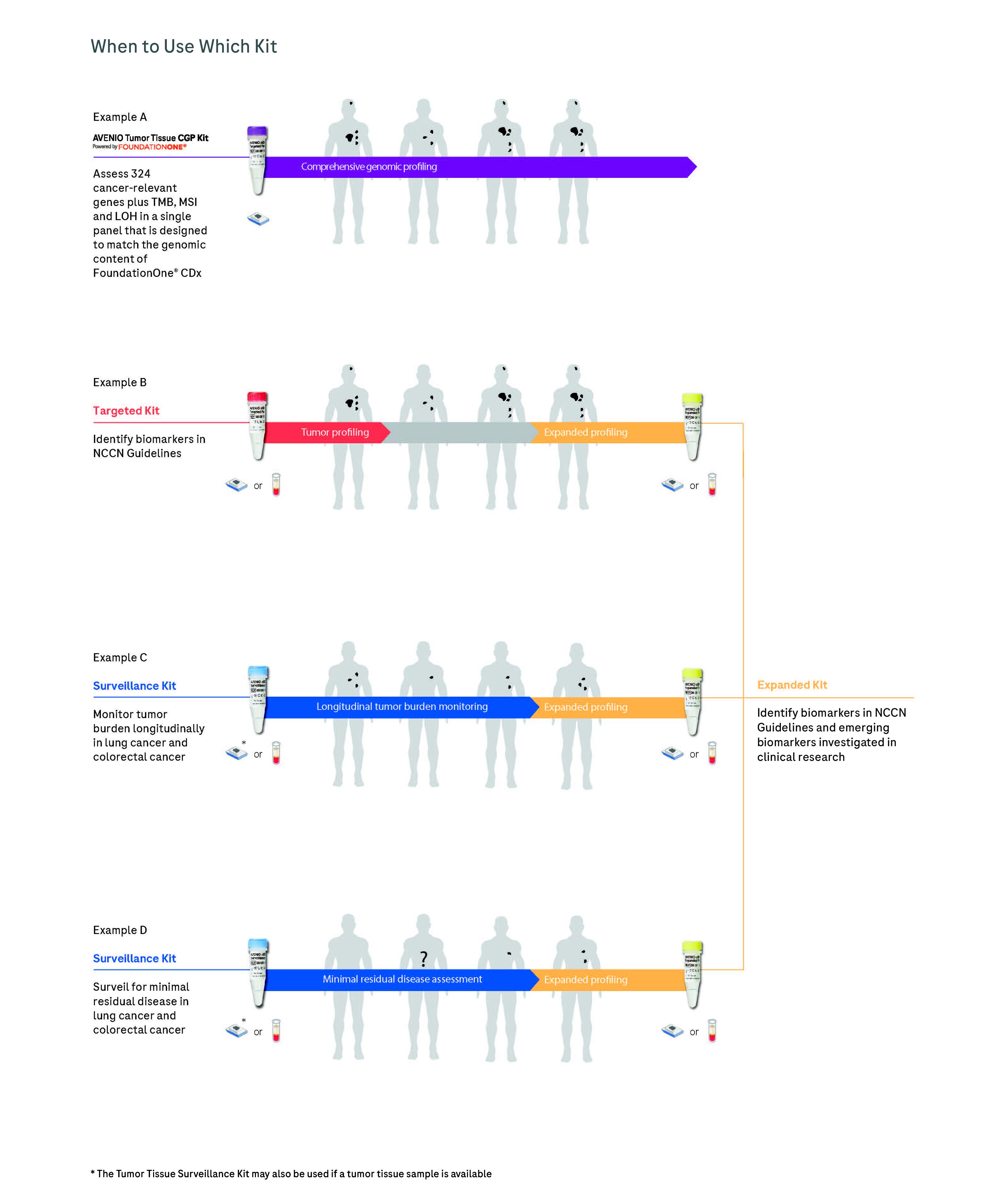 NGS Oncology Assays