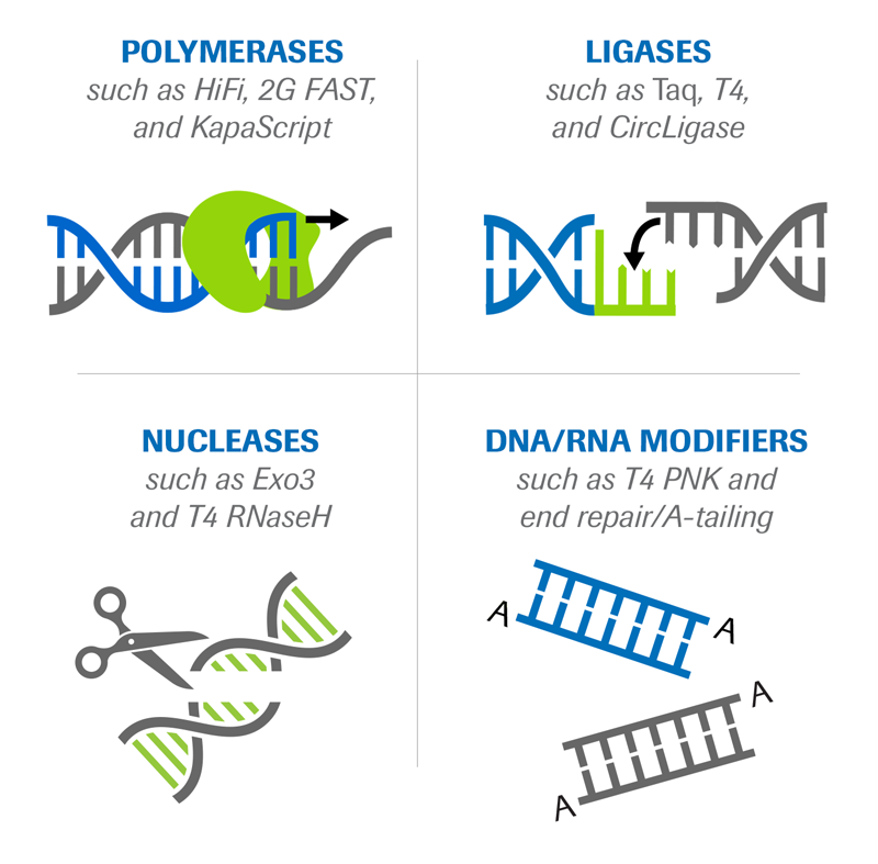 OEM and Custom Sequencing Solutions