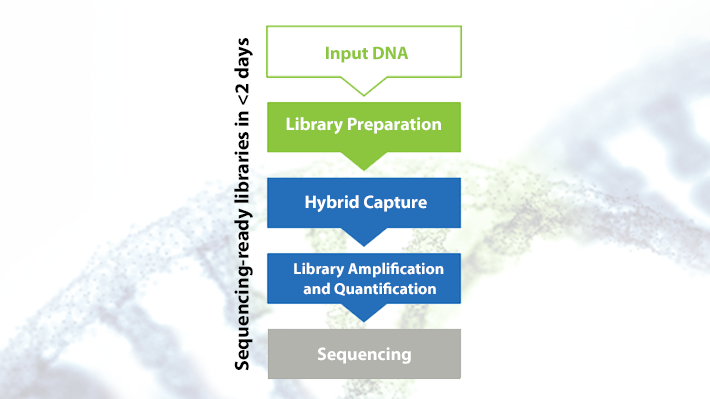 KAPA HyperCap Custom Probes