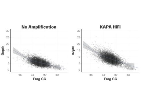 KAPA Library Amplification Kits