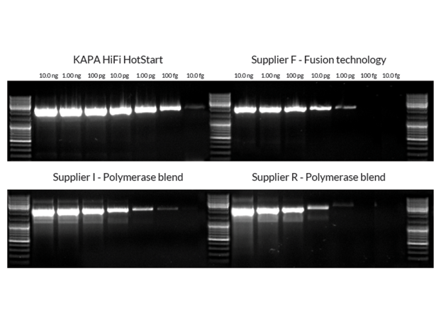 KAPA HiFi Kits