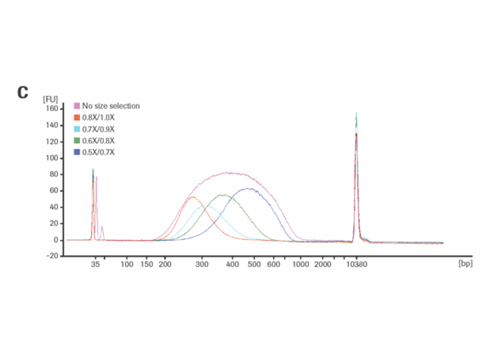 KAPA HyperPure Beads